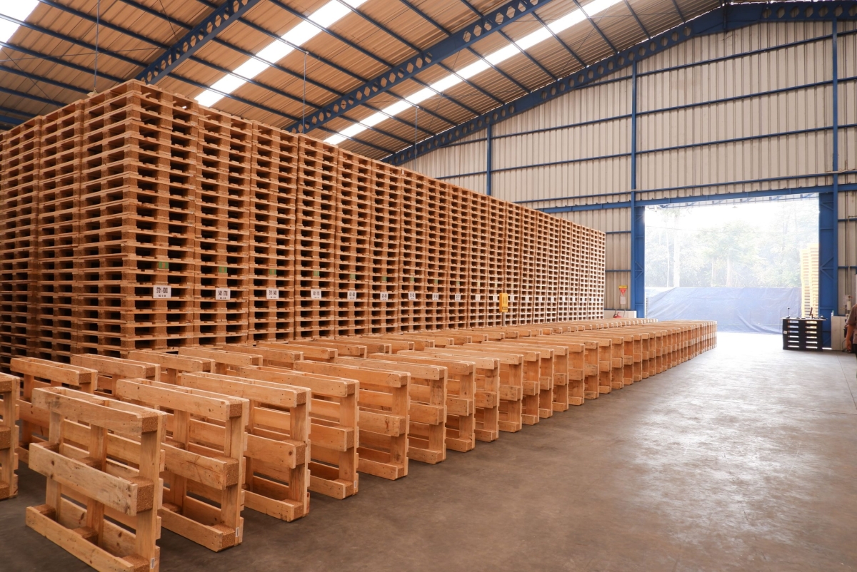 Dicas para Armazenamento de Paletes: Como Maximizar Espaço e ...